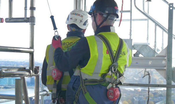 Company Values | Performance | Brogan Group